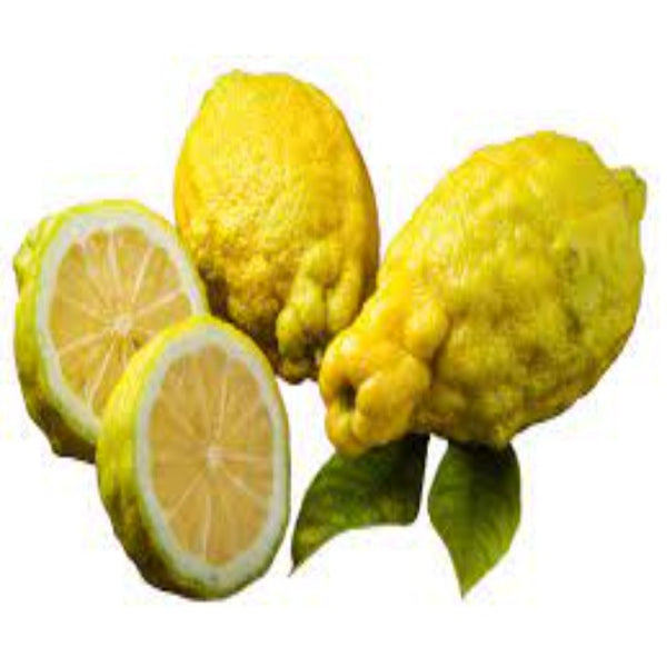 Citron Medica Essential Oil - Soap & More