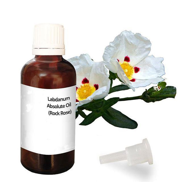 Labdanum Absolute (Rock Rose) - Soap & More